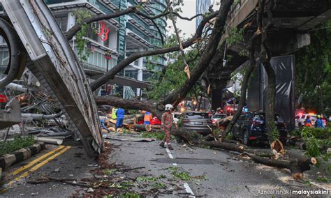 Ktemoc Konsiders Falling Trees Reveal Nations Rotting Roots