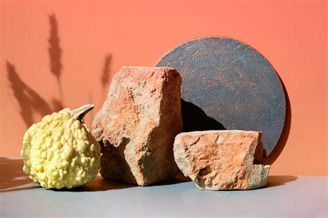 오렌지와 그레이의 현대 가을 벽돌 연단과 천연 제철 가을 호박 자연 햇빛 밀 귀의 긴 그림자 오렌지와 그레이의 따뜻한 단색 조성 0명에 대한 스톡 사진 및 기타 이미지