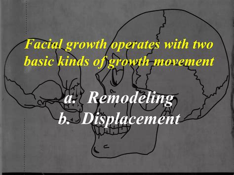 Functional Matrix Theory Ppt