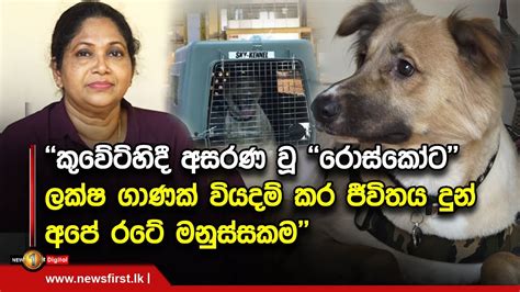 කුවේට්හිදී අසරණ වූ රොස්කෝට ලක්ෂ ගාණක් වියදම් කර ජීවිතය දුන් අපේ රටේ