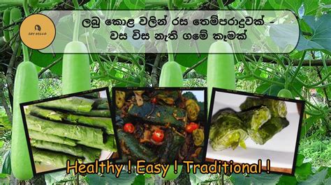 ලබු කොළ 🍀 වලින් රස තෙම්පරාදුවක් වස විස නැති ගමේ කෑම 🍀 Traditionalfood Srilankancooking Youtube