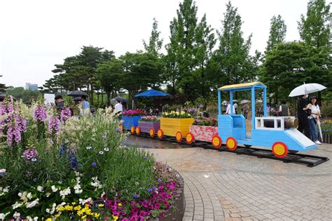 성공은 행복의 열쇠가 아닙니다 행복이 성공의 열쇠입니다 만약 여러분이 하고 있는 일을 사랑한다면 여러분은 성공할 것입니다 알버 꽃향기 꽃사랑 꽃이름 찾기