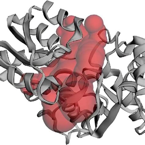Determination Of Active Site Of Yp4986751 Using The Castp Server The Download Scientific
