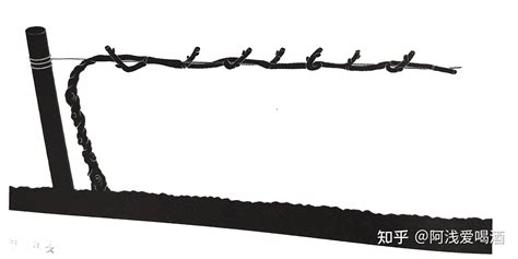 如何理解结构化剪枝与非结构化剪枝 知乎