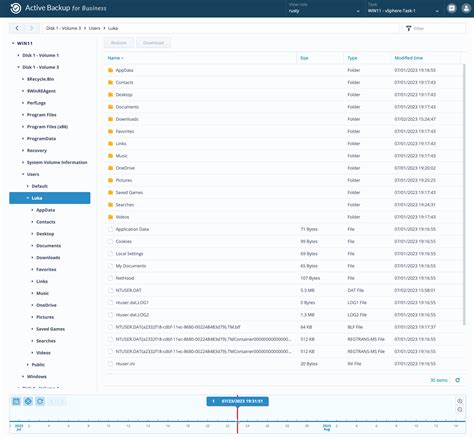 Vmware And Synology Part 2 Use Active Backup For Business To Backup And Restore Esxi Vms