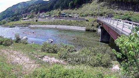 長良川河口堰の稚鮎の遡上量が 岡ちゃんの釣り馬鹿日記