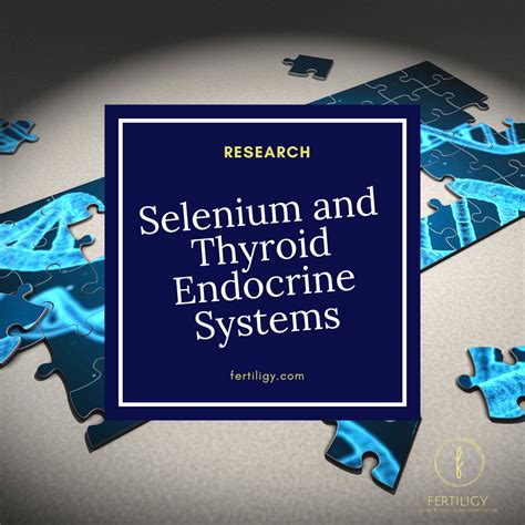 Whats The Role Of Selenium For Thyroid Endocrine Systems Fertiligy