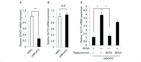 Bcaa But Not Their Catabolites Regulate Klf15 Expression A B