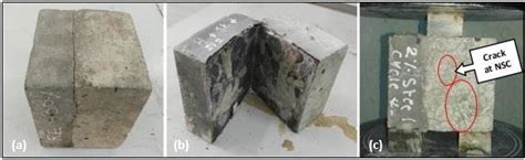 Fig7 Failure Mode In Bi Surface Shear Specimens A Interface