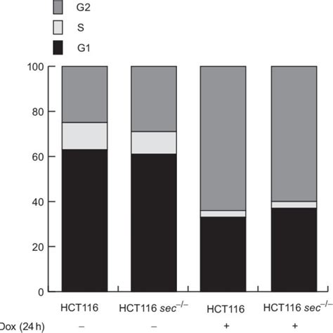 Cell Cycle Profiles Representative Cell Cycles Before And After Download Scientific Diagram