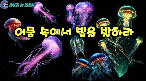 건강강의 248 어둠 속에서 빛을 발하라 Youtube