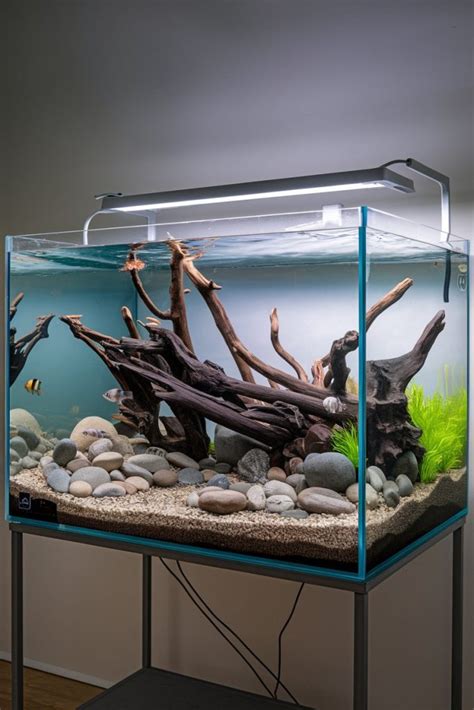 14 Aquarium Decor Ideas To Transform Your Freshwater Aquarium