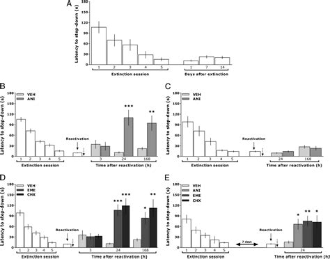 Retrieval Induces Reconsolidation Of Fear Extinction Memory Pnas