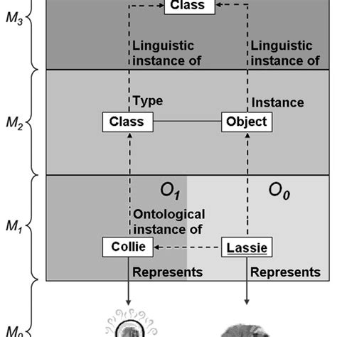 Biological Classification Adapted From Atkinson And Kühne 2003b