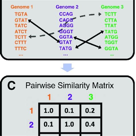 Workflow For Alignment Free Genome Comparisons Used In This Work A