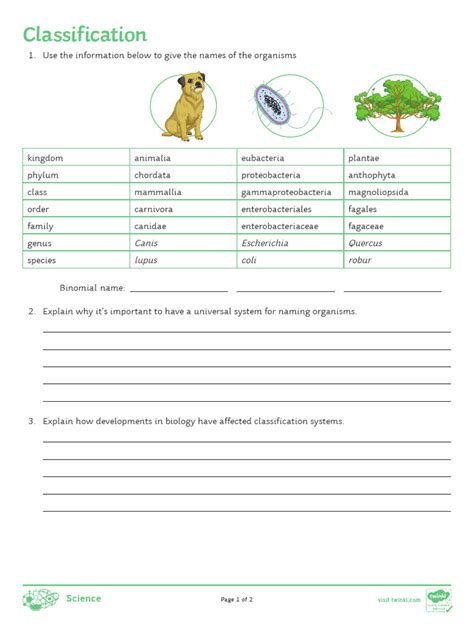 Inheritance V And E Lesson 15 Classification Worksheet Pdf Taxonomy