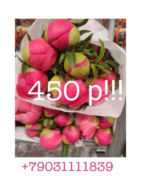 ЦВЕТЫ ДОСТАВКА МОСКВА /ОБЛАСТЬ | Стильные букеты не такие как у всех ...