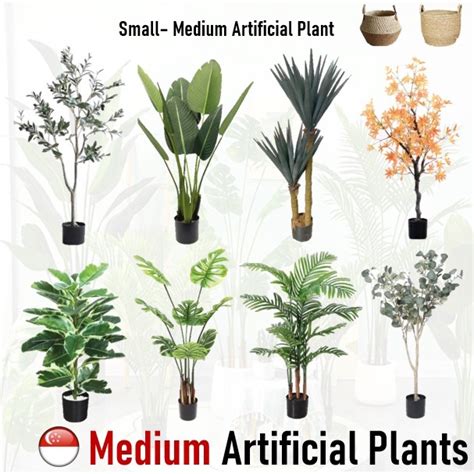 Artificial Plant Faux Fake Plants Small Fake Tree Flower Plants Home Deco Shopee Singapore
