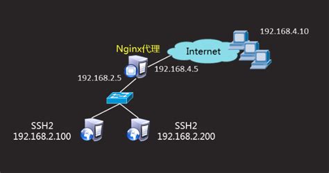 nginx的tcp udp调度器 csdn博客