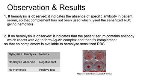 Complement Fixation Test Ppt Blood Disorders Diseases And Conditions
