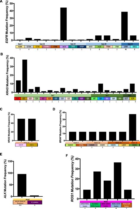 Distribution Of Mutation Subtypes Across 6 Driver Genes In Vietnamese