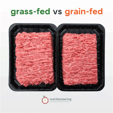 8 Oz Ground Beef Protein And Calories By Percentage