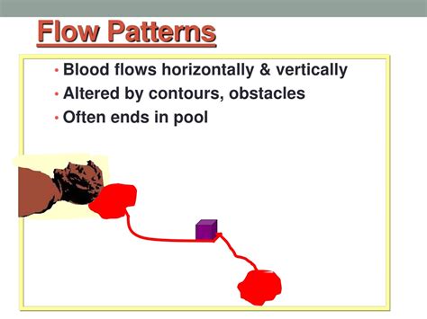 Ppt Blood Evidence In Forensics Collection Analysis