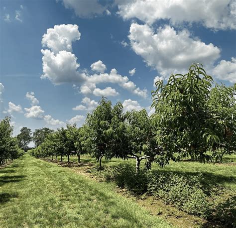 13 Of The Best Farms In South Jersey Visit South Jersey