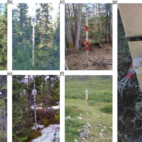 Violin Plot Rotated Kernel Density Showing The Probability Density
