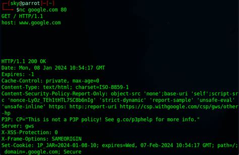 How To Make An GET Request Manually With Netcat GeeksforGeeks