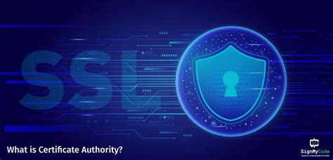 What Is Certificate Authority Ca Detailed Guide