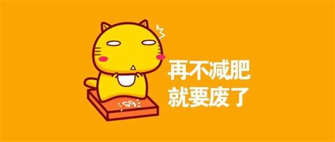 Elementui Cascader级联动态加载及回显 知乎