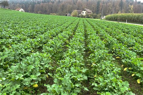 Biohof Am Schürberg Familie Lässer