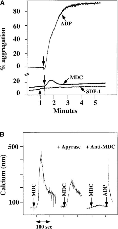 Platelet Aggregation Using Chemokine Agonists A Platelet Aggregation