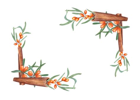 Rectangle PNGs For Free Download