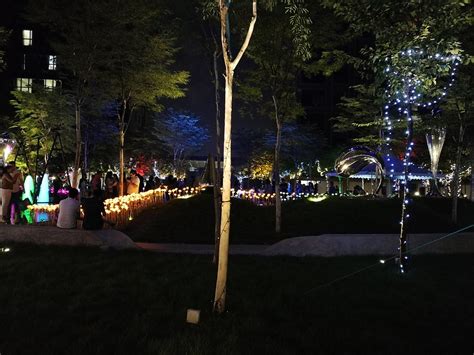 P10 Plus Flickr P10 Plus Flickr