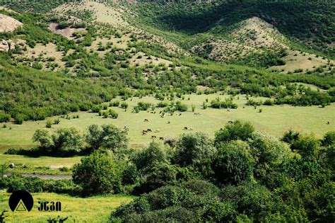 ნახიდურისა და თავგურგალას გამოქვაბულები კლდის სოფლები ანგი