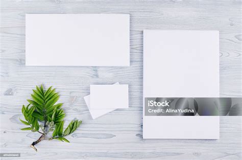 기업의 정체성 템플릿 부드러운 빛 푸른 나무 보드에 녹색 경 엽으로 편지지 브랜딩 그래픽 디자이너 프레 젠 테이 션 및 포트폴리오에 대 한 조롱 0명에 대한 스톡 사진 및