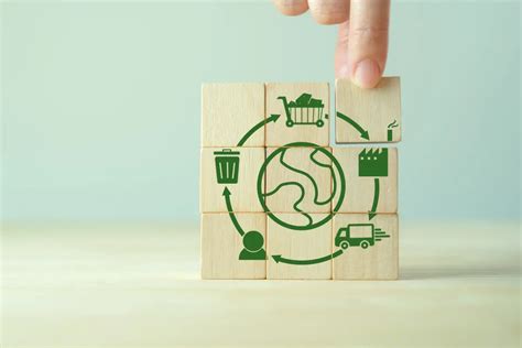 Product Lifecycle Management How To Optimize It Dream Foods