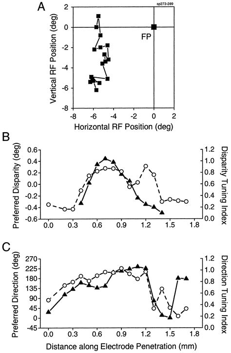 Organization Of Disparity Selective Neurons In Macaque Area Mt Journal Of Neuroscience