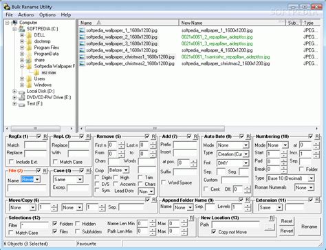 Professional File Renaming Tool