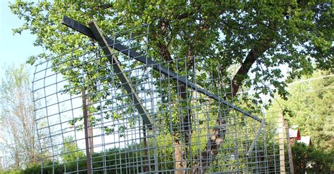 Trying Things Going Vertical