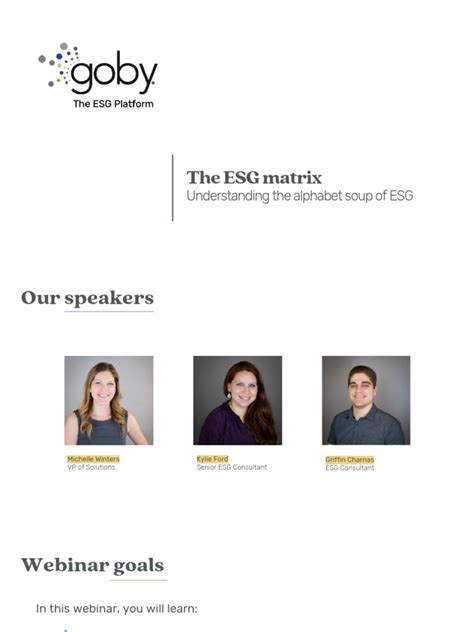 The Esg Matrix Webinar Slides Pdf Economies Economy And The