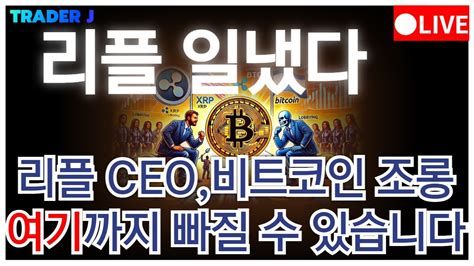 리플전망 대응전략 리플ceo비트코인 조롱 Youtube