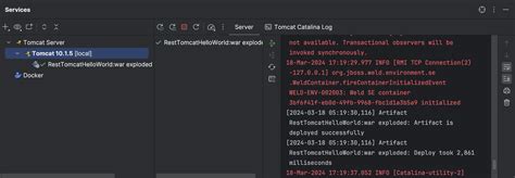 教程：您的第一个 Restful Web Service Intellij Idea 文档
