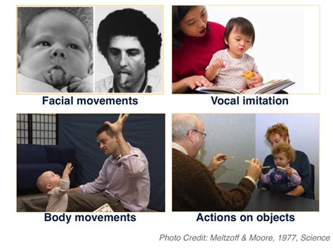 Types Of Imitation Institute For Learning And Brain Sciences I Labs