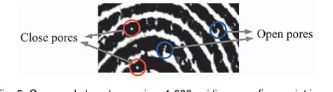Figure 5 From Pores And Ridges High Resolution Fingerprint Matching