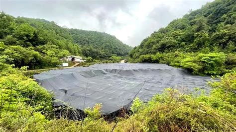 修文县六广镇：红托竹荪致富路 鼓起群众“钱袋子”澎湃号·媒体澎湃新闻 The Paper