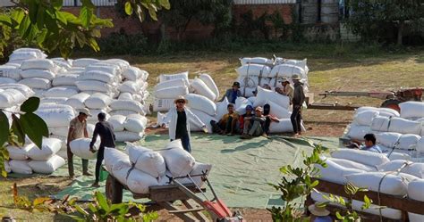 អង្គការជីវិតសត្វស្លាបអន្តរជាតិប្រចាំកម្ពុជានៅបន្តអនុវត្តគម្រោងស្រូវមិត្តភាពសង្គ្រោះសត្វព្រៃ