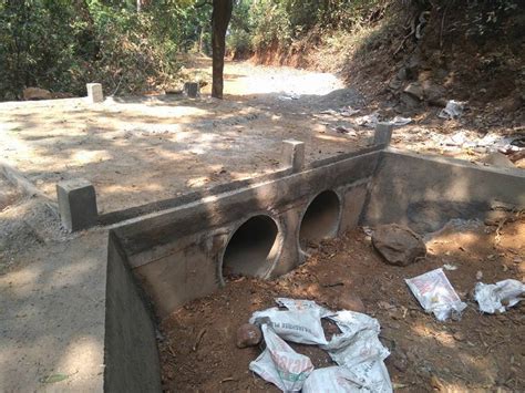 Ms Siddhesh Suresh Jadhav